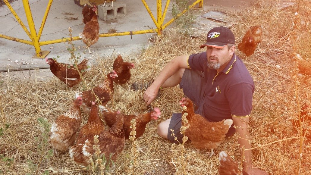 Products | Chirpy Chook Eggs
