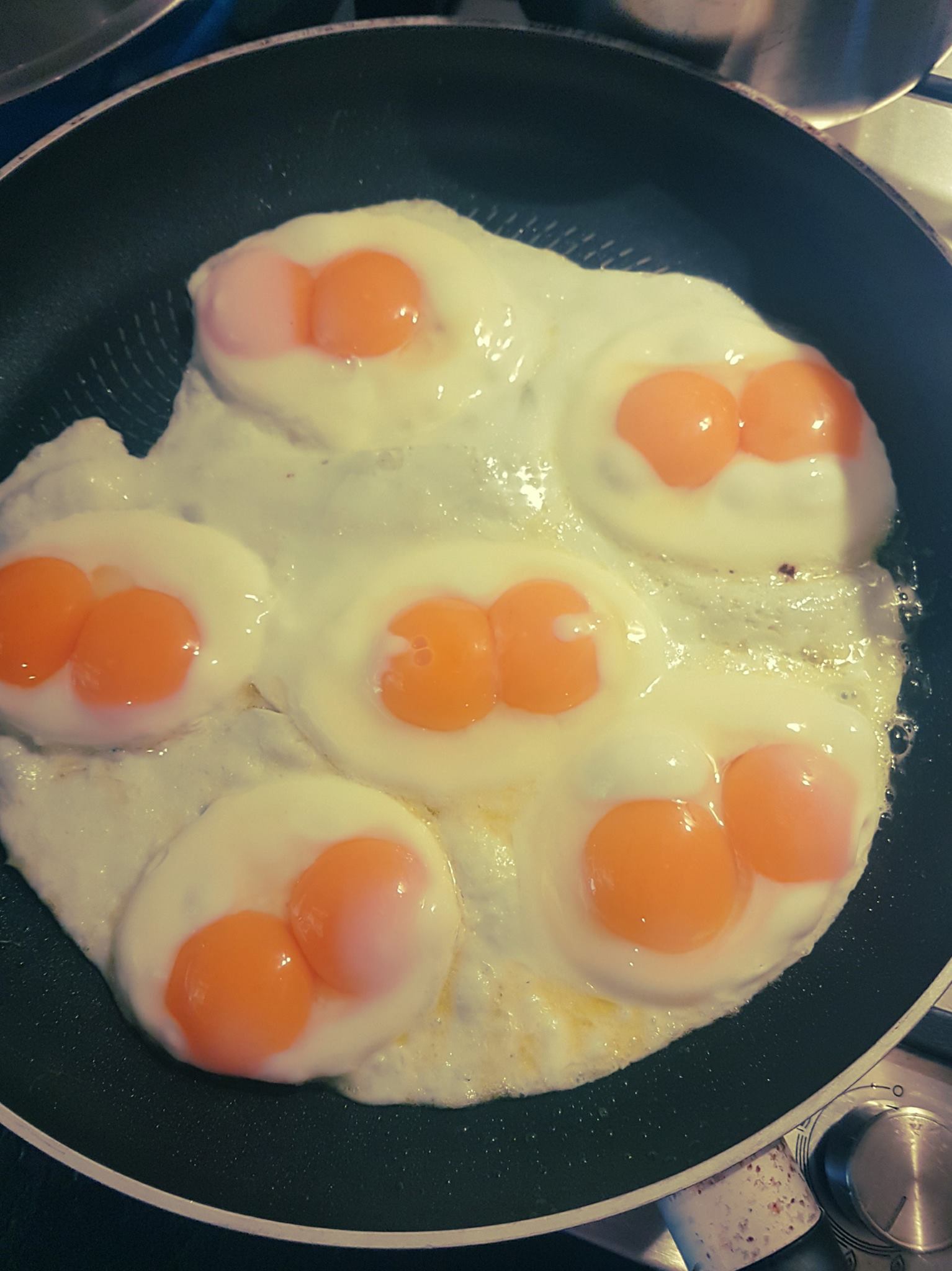 Products | Chirpy Chook Eggs